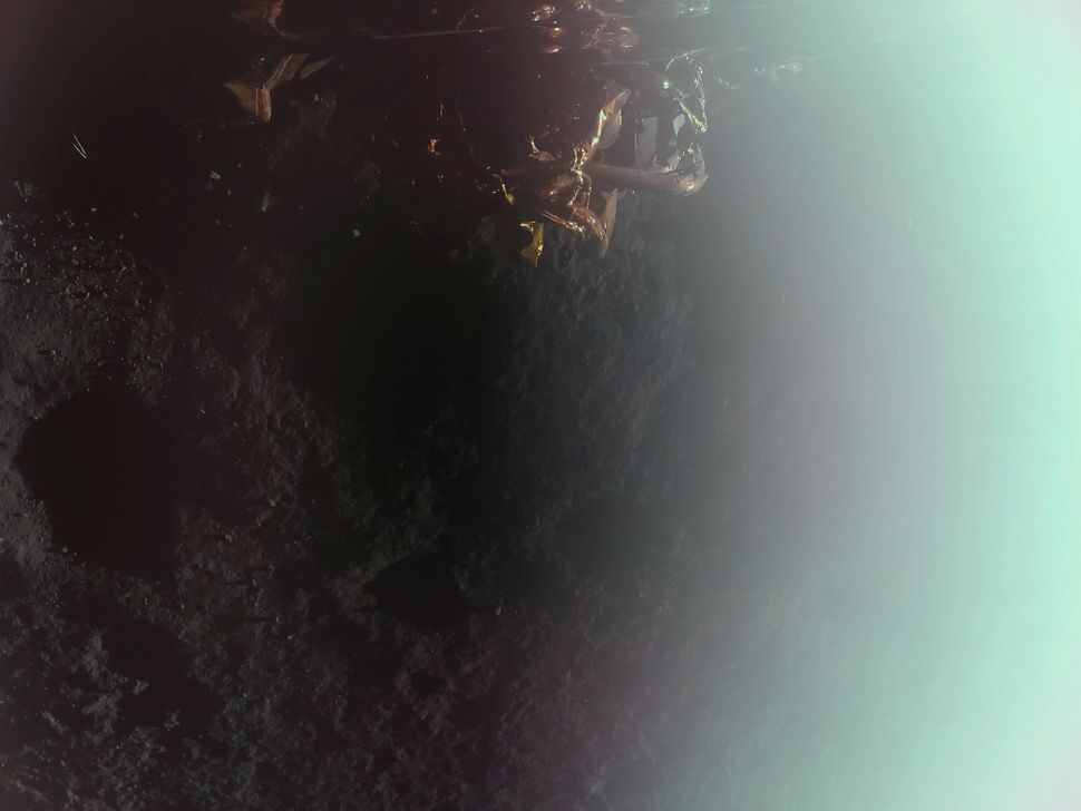 Sunrise on the moon captured by Blue Ghost spacecraft after NASA and Firefly Aerospace announce ...