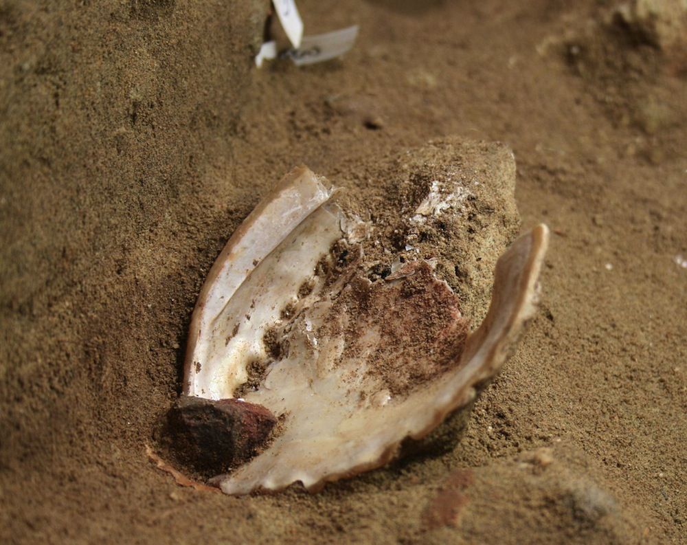 Gallery: Discovery of 100,000-Year-Old Toolkits | Live Science