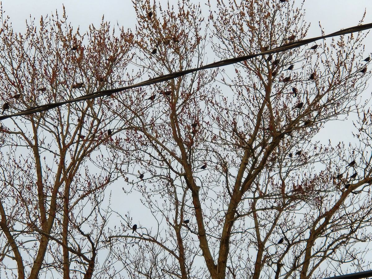 Samsung Galaxy S22: Samsung's newest flagship Android phone line is a ...