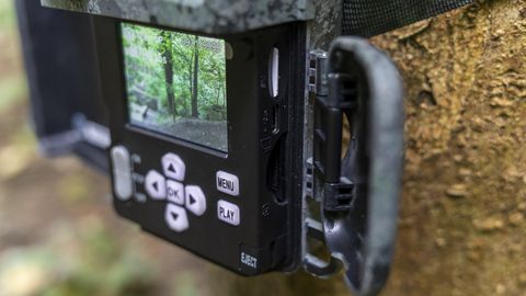 Zeiss Secacam 7 review: the perfect trail camera? | Digital Camera World