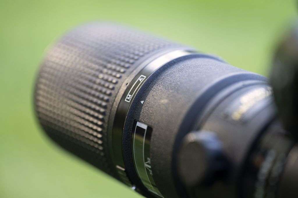 These are my five top tips to control focus in macro photography ...