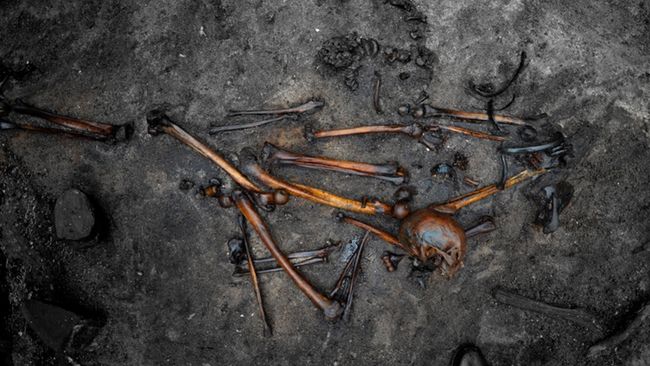 Who were Europe's 'bog bodies'? Deep look uncovers the secrets of this ...