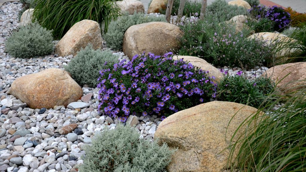 Using rocks instead of mulch: the versatile alternative | Homes and Gardens