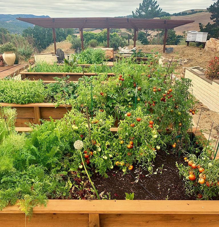 6 homes perfect for growing your own food | The Week