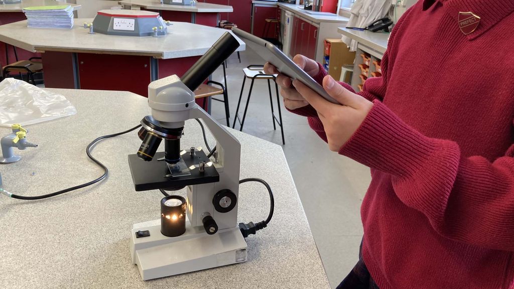 How to photograph your microscope specimens | Live Science