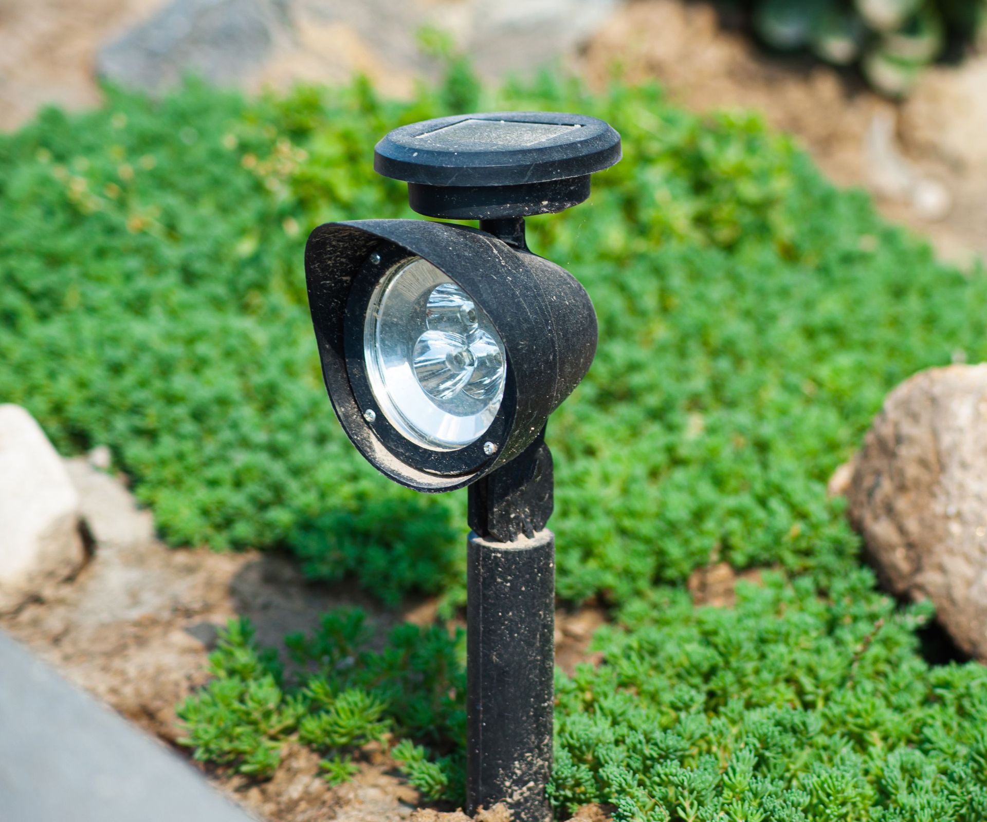 How to uplight a tree – expert methods | Homes and Gardens