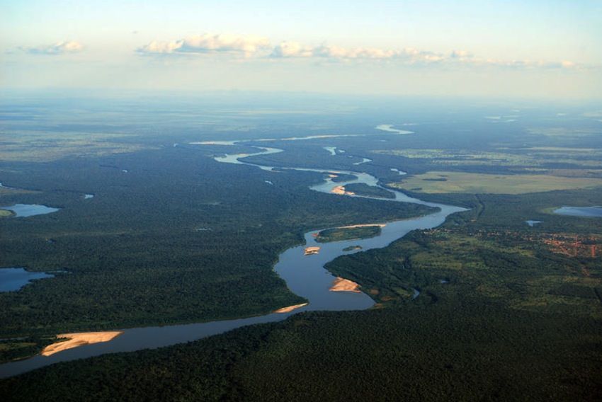 Amazon River 'Breathes' Carbon Dioxide | Amazon Rainforest | Live Science