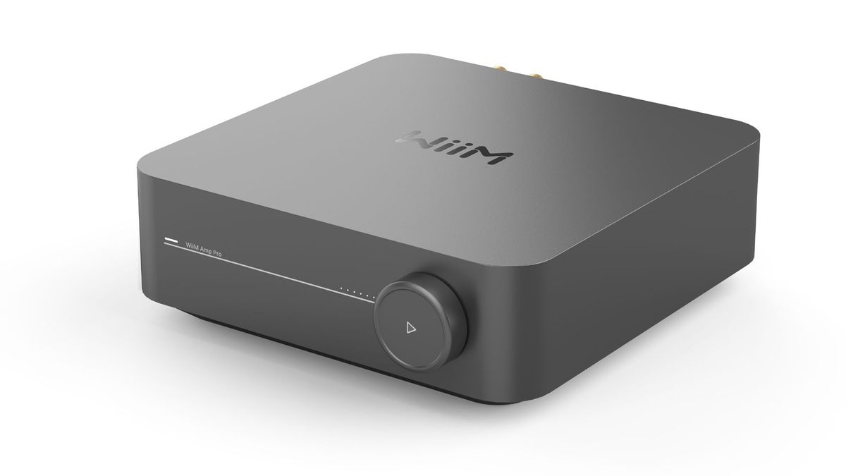 The brand-new Wiim Ultra brings high-quality music streaming to the ...