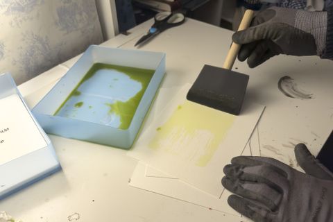 Craft your own cyanotypes at home with this quick and easy setup ...