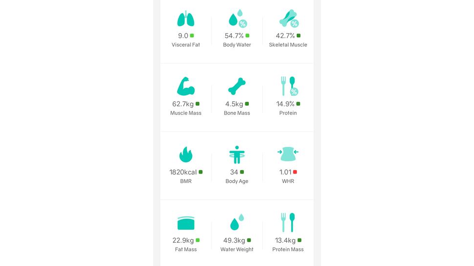 RunStar 8E SmartScan Pro review: The most advanced body fat scale we ...