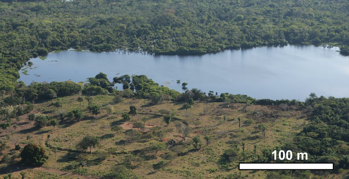 In Photos: Earthworks Scattered Throughout the Amazon | Live Science
