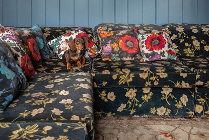 How to embrace pattern clashing – 4 expert tips | Livingetc