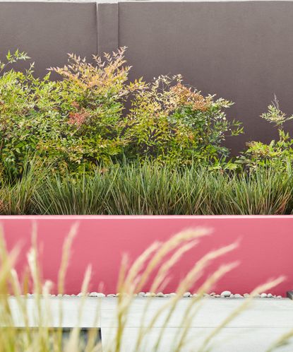 Garden wall paint ideas: 10 ways to add standout color | Homes and Gardens