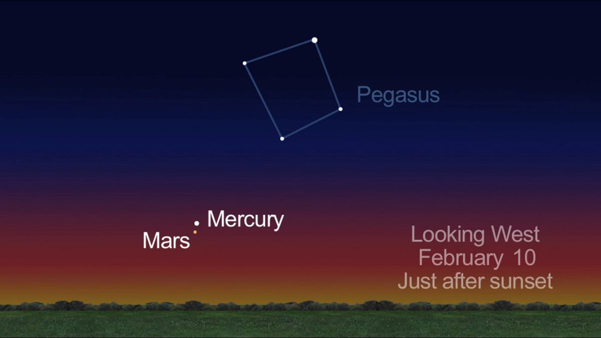 Night Sky Observing Guide: February 2013 (Sky Maps) | Space