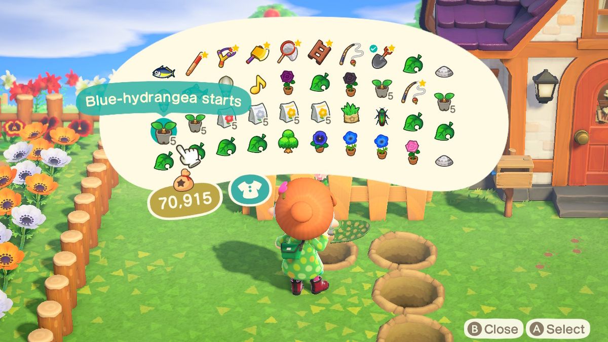 How To Grow Shrubs In Animal Crossing at Jeremy Burris blog