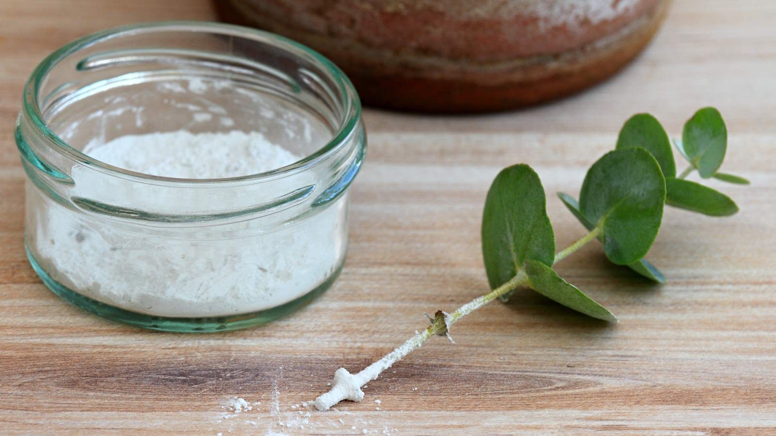 What is rooting hormone and how does it benefit cuttings | Homes and ...