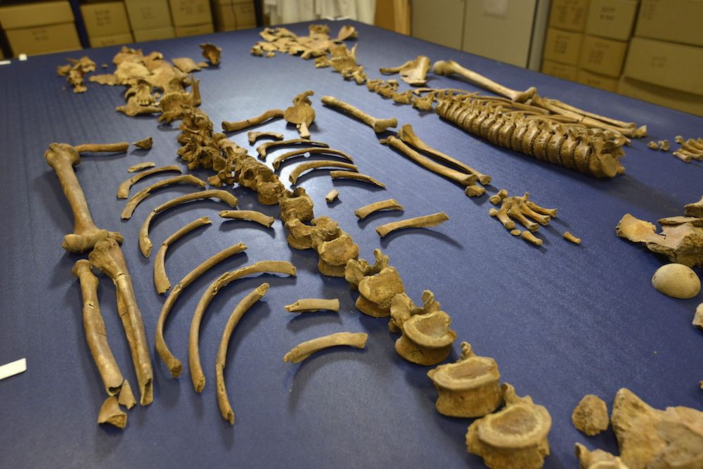 Photos: Mass Graves Hold 17th-Century Prisoners of War | Live Science