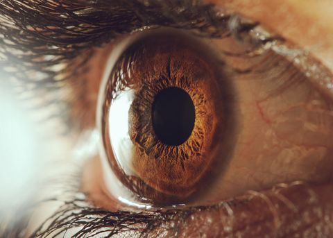 See 15 Crazy Animal Eyes — Rectangular Pupils to Wild Colors | Live Science