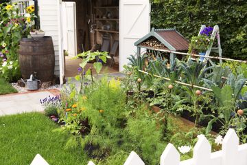 Vegetable garden trellis ideas: 18 ways to max your harvest | Homes and ...