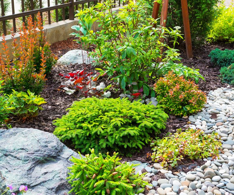 How to clean landscaping rocks: simple methods that work | Homes and ...