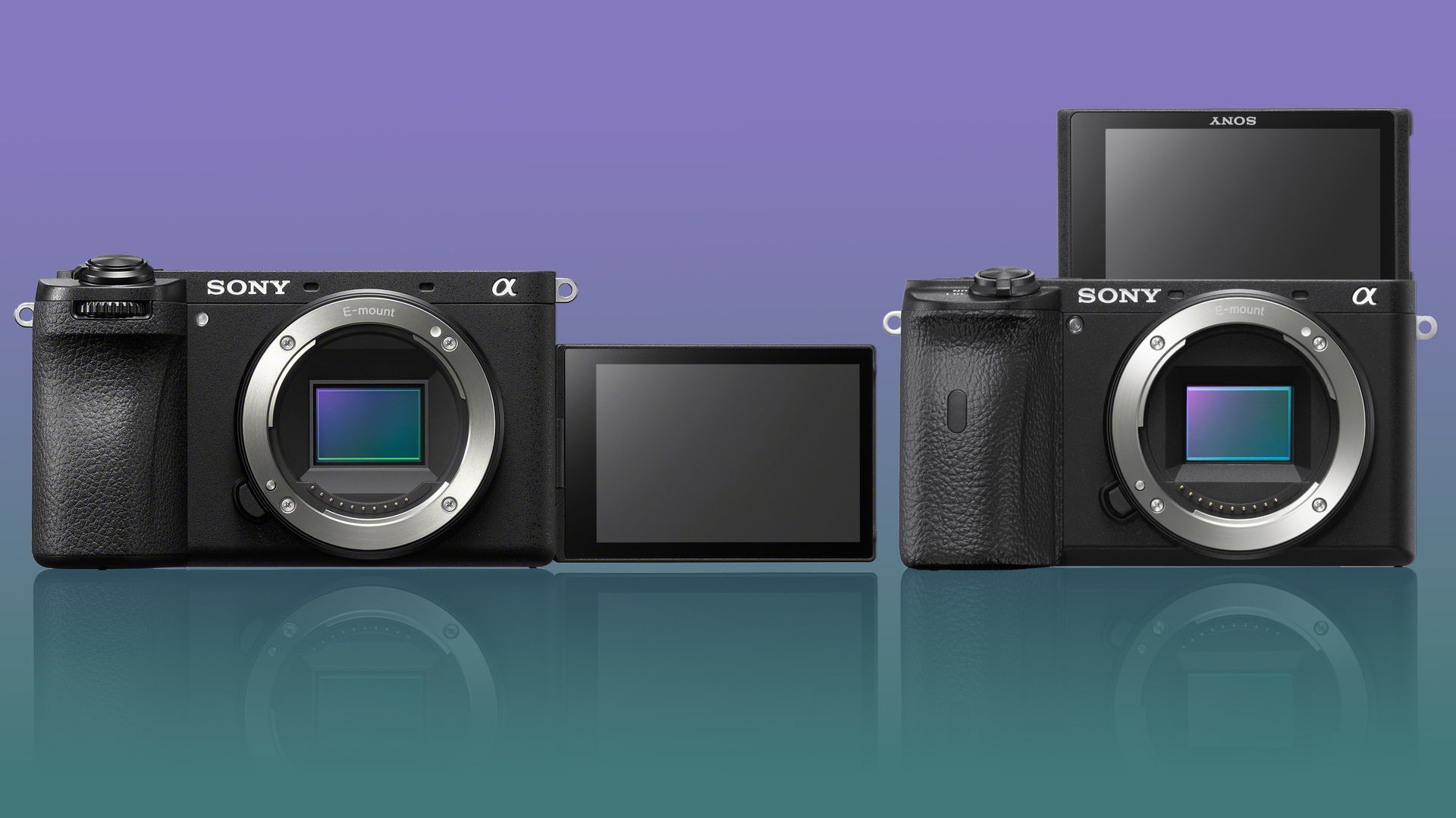 Sony A6600 vs A6700: Which of Sony's compact APS-C cameras is best ...