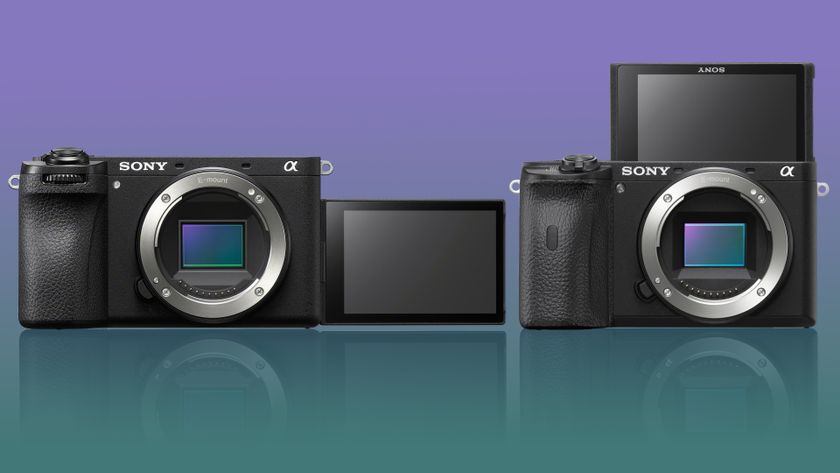 Panasonic Lumix S1II vs S1IIE: What are the actual differences ...