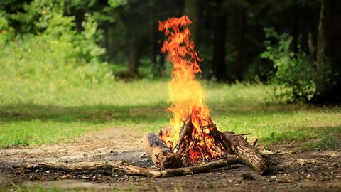 Raspberry Pi project uses AI and a camera to detect fires and alert for ...