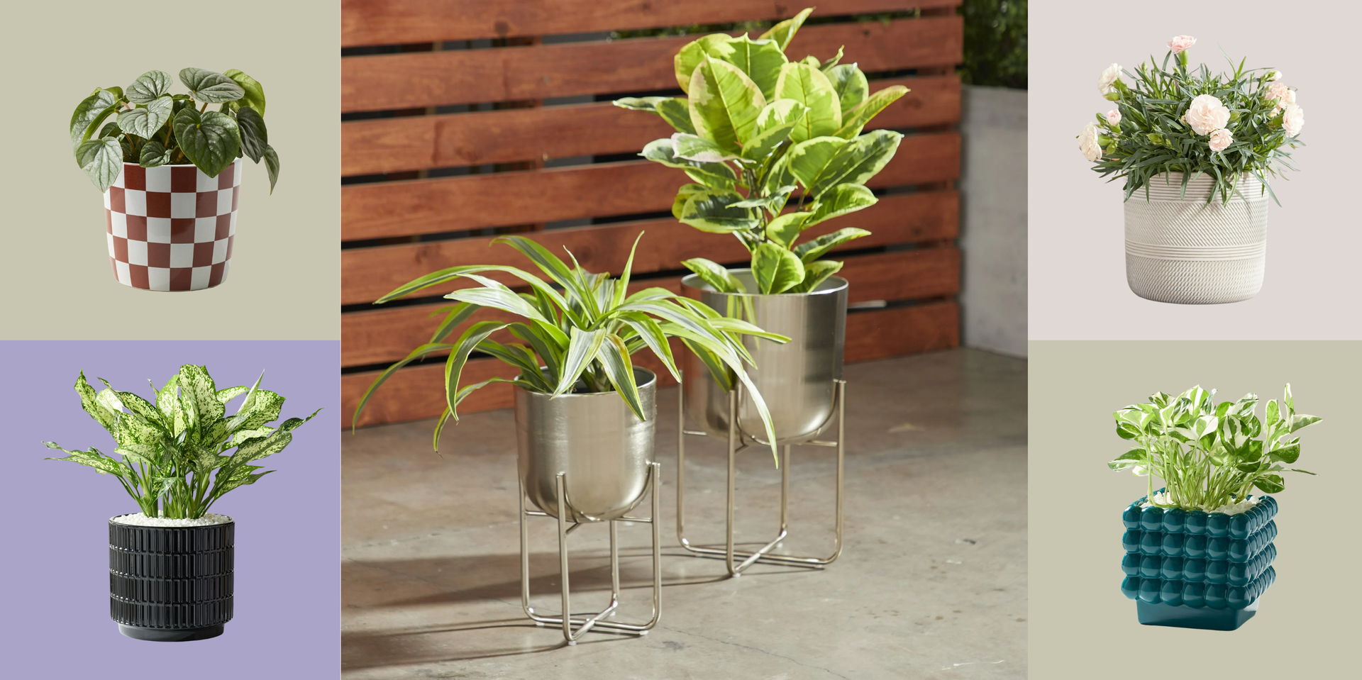 9 Walmart Planters That Will Give You the Best-Dressed Houseplants