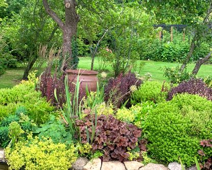 Landscaping with evergreens: 12 ways to make an impact | Gardeningetc