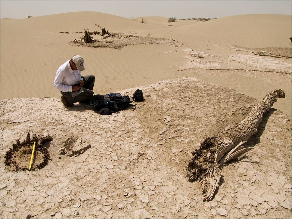 Stunning Scenes: From the Himalayas to the Taklamakan Desert | Live Science