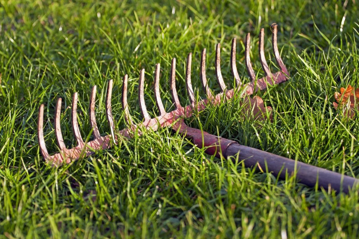 Using Rakes In Gardens - Different Types Of Rakes For The Garden ...