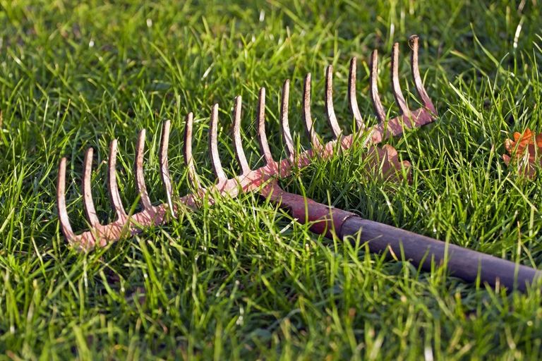 Using Rakes In Gardens - Different Types Of Rakes For The Garden ...