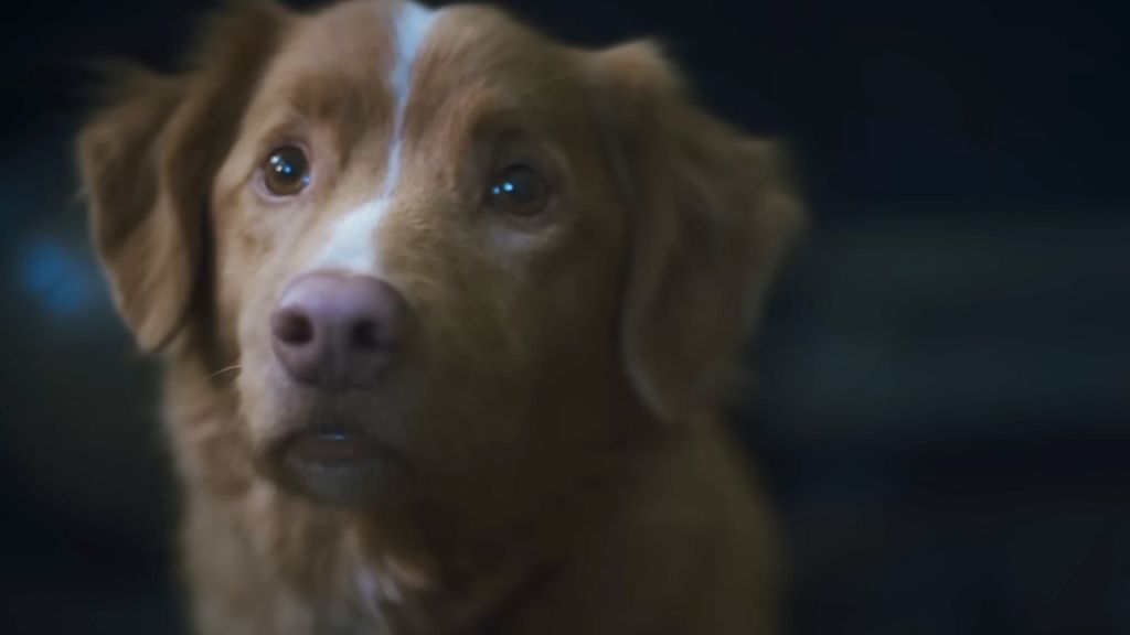 That New, Viral Horror Movie That Has Us All Worried About Whether The ...