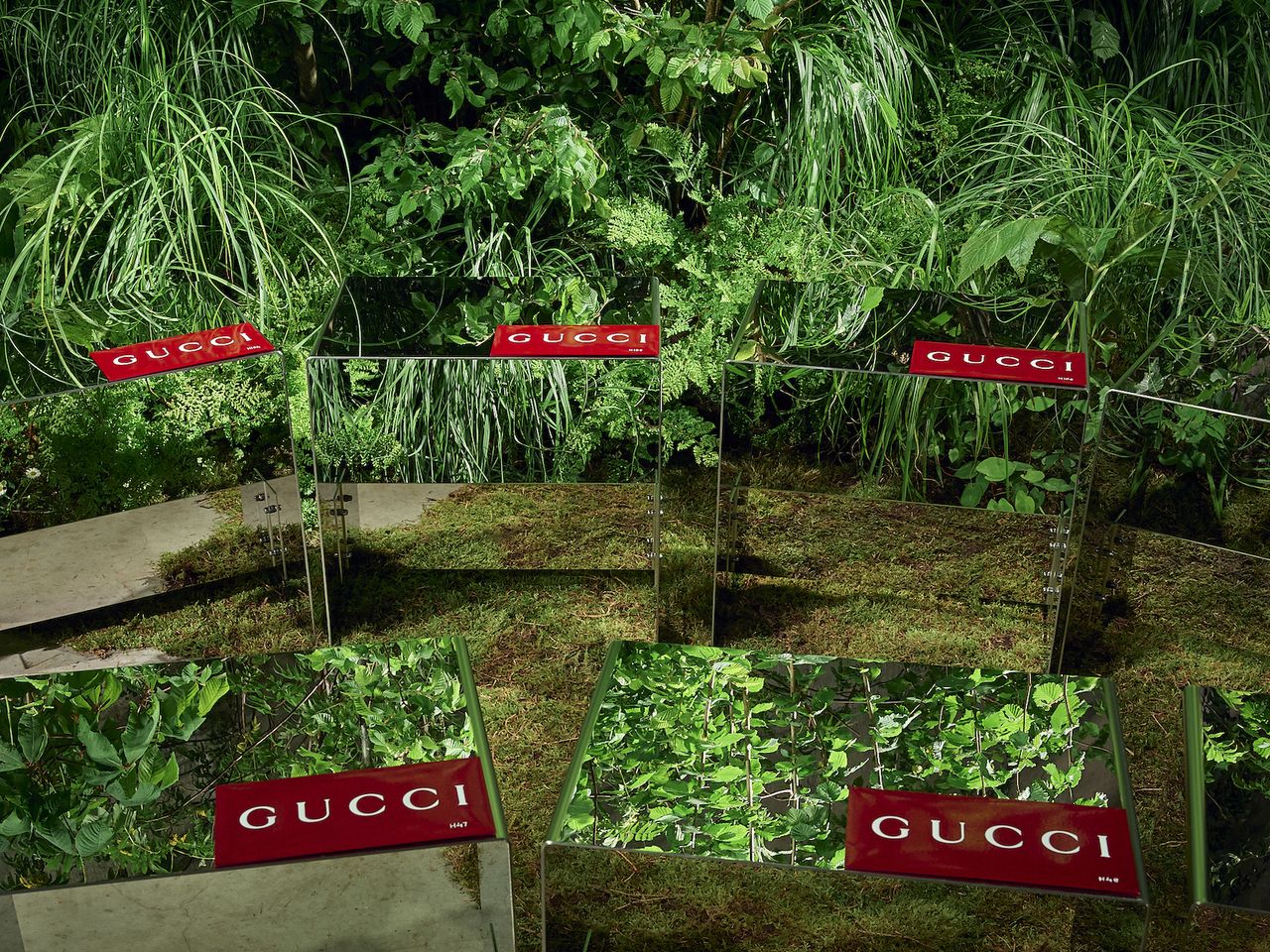 Gucci Cruise 2025: first look at the plant-filled show set | Wallpaper*