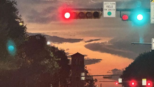 Mind-boggling horse optical illusion stumps the internet | Creative Bloq