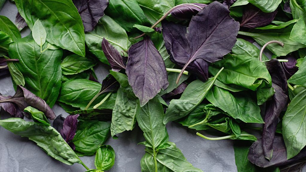 A step-by-step guide to drying and store home-grown basil | Homes and ...