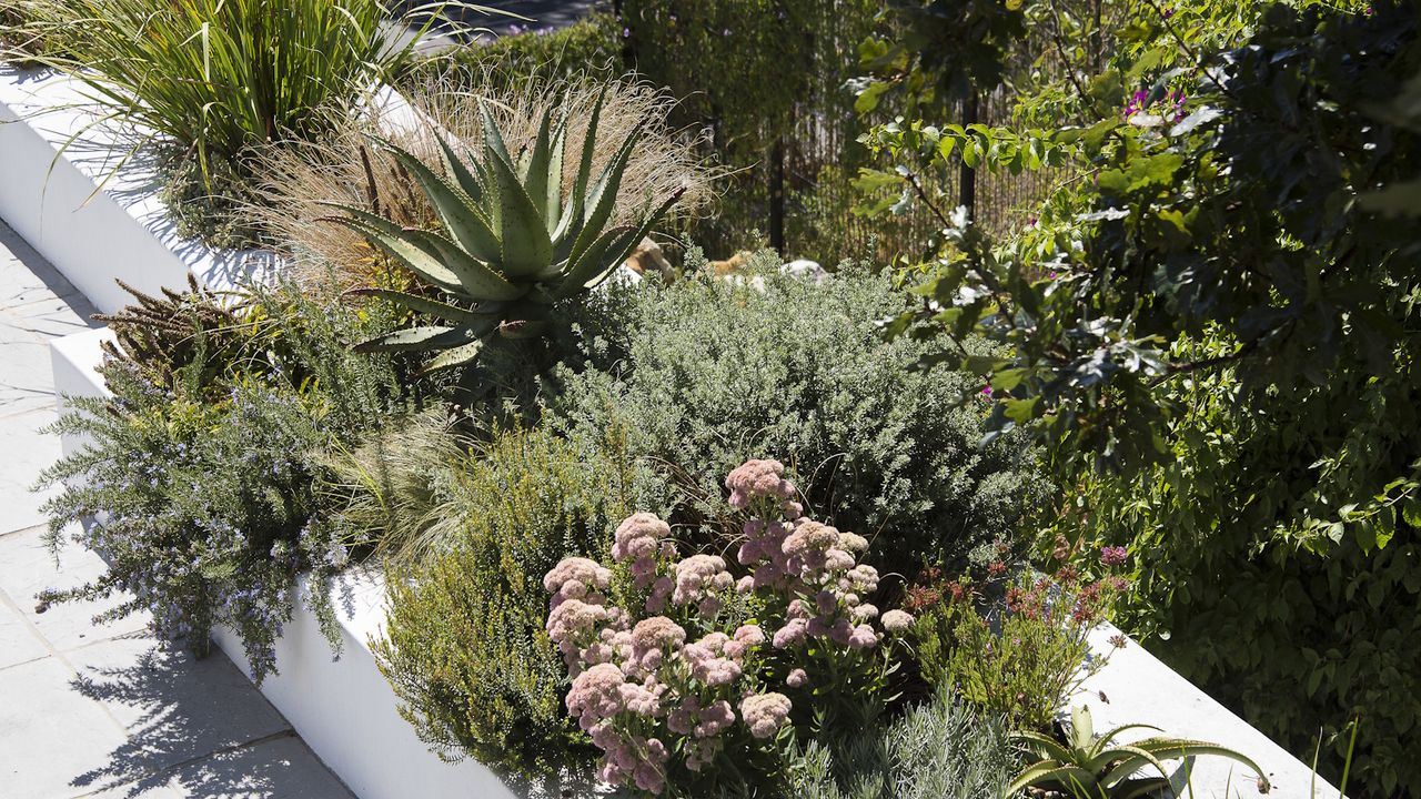 How to clean landscaping rocks: simple methods that work | Homes and ...