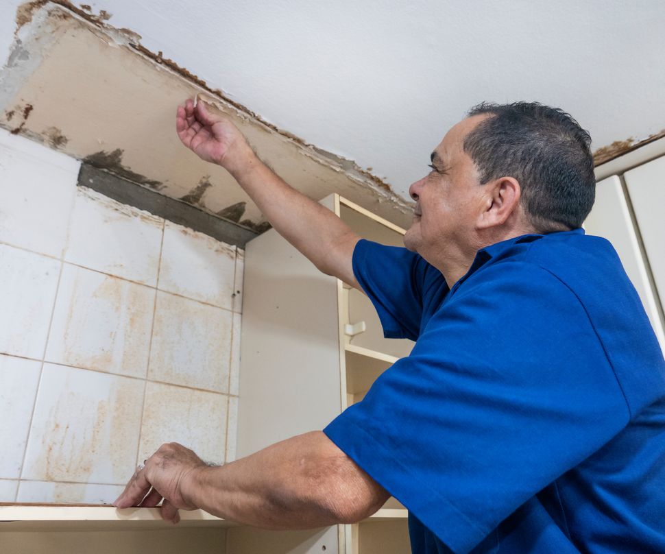 How to remove mould from ceilings: expert tips and solutions | Homebuilding