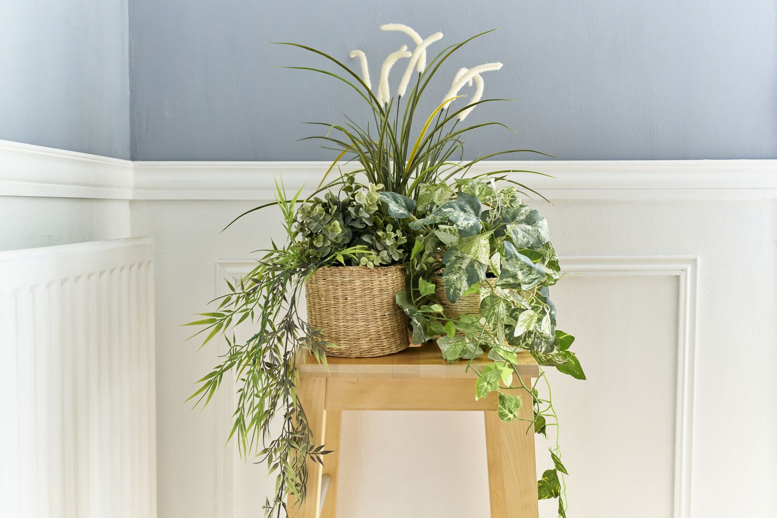 How to Underplant Houseplants for a Fuller Foliage Display | Livingetc