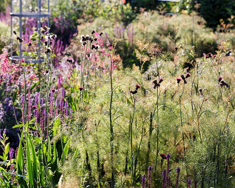 How to create an Instagram garden –Instagram garden ideas | Homes and ...