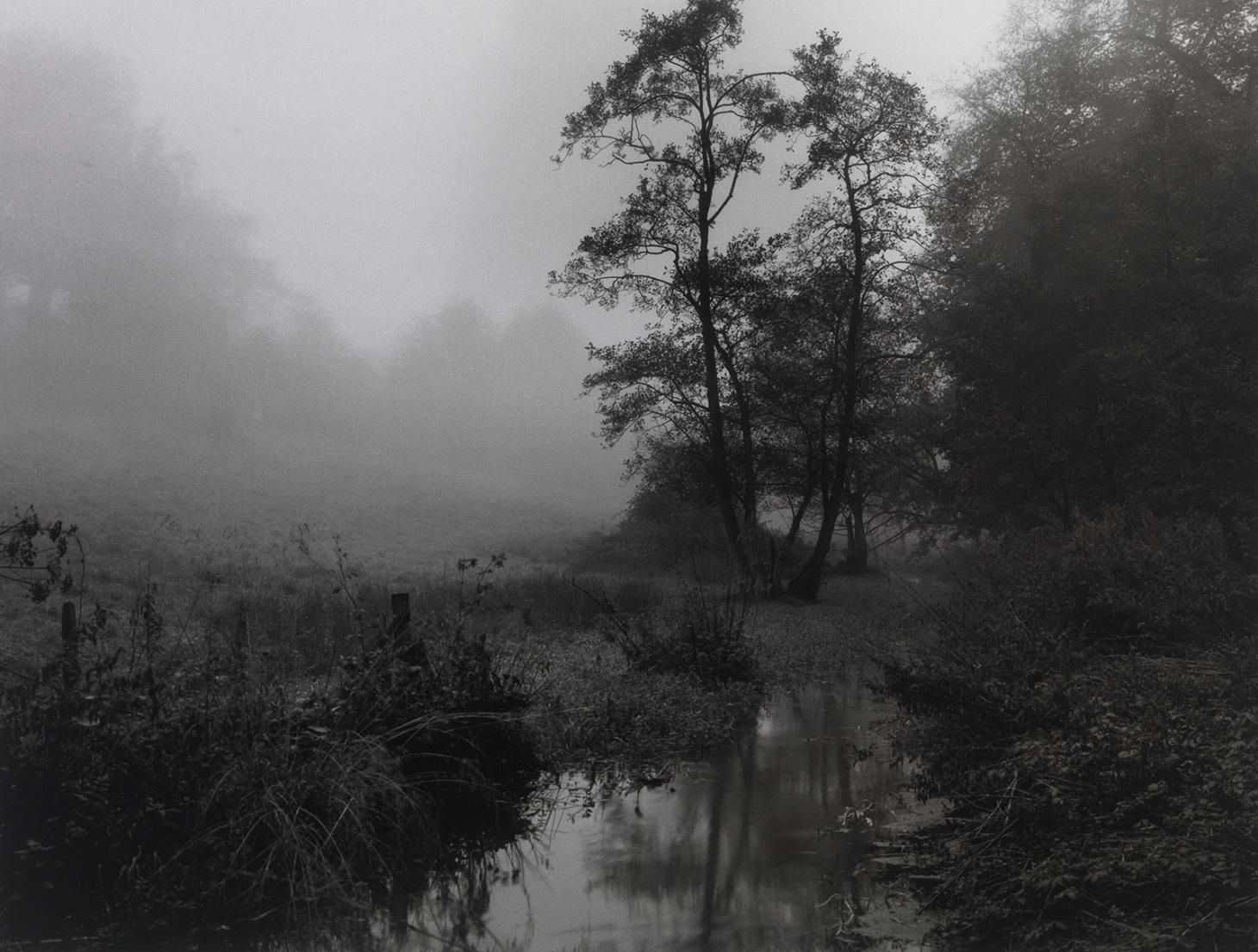 Don McCullin on finding salvation in the British countryside | Wallpaper