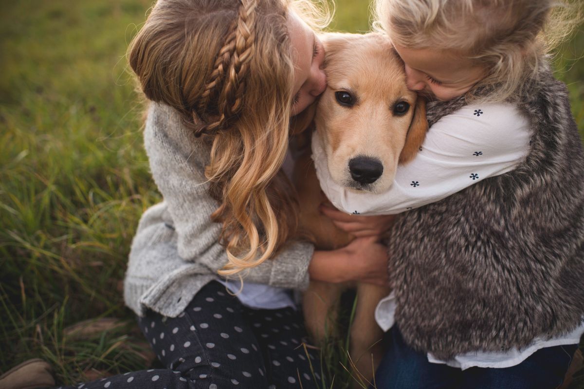 What raising dogs taught me about parenting | The Week