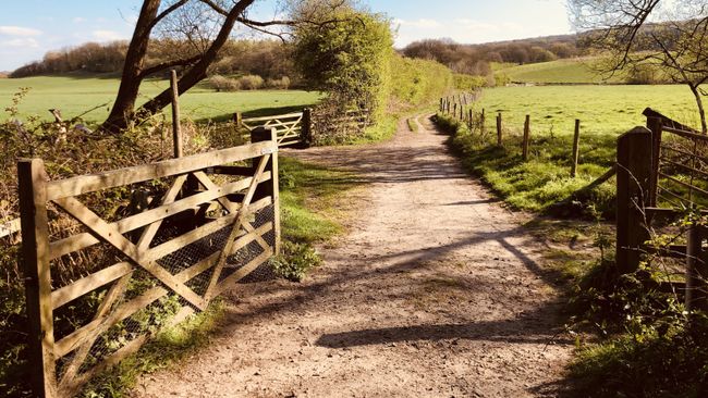 Fence Rules: A Guide To Your Rights And Responsibilities | Homebuilding