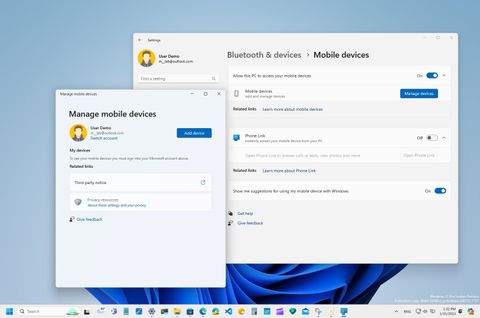 Windows 11 build 26040 (and earlier): Everything you need to know ...