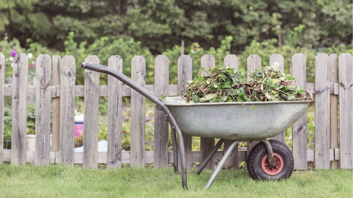Wheelbarrow uses: 7 ways to use this valuable garden tool | Homes and ...