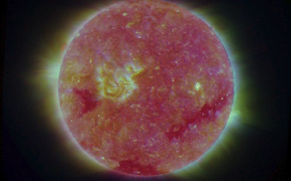 Full Disk Image of the Sun Space Wallpaper | Space