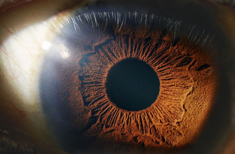 Your eyes may reveal your true biological age | Live Science