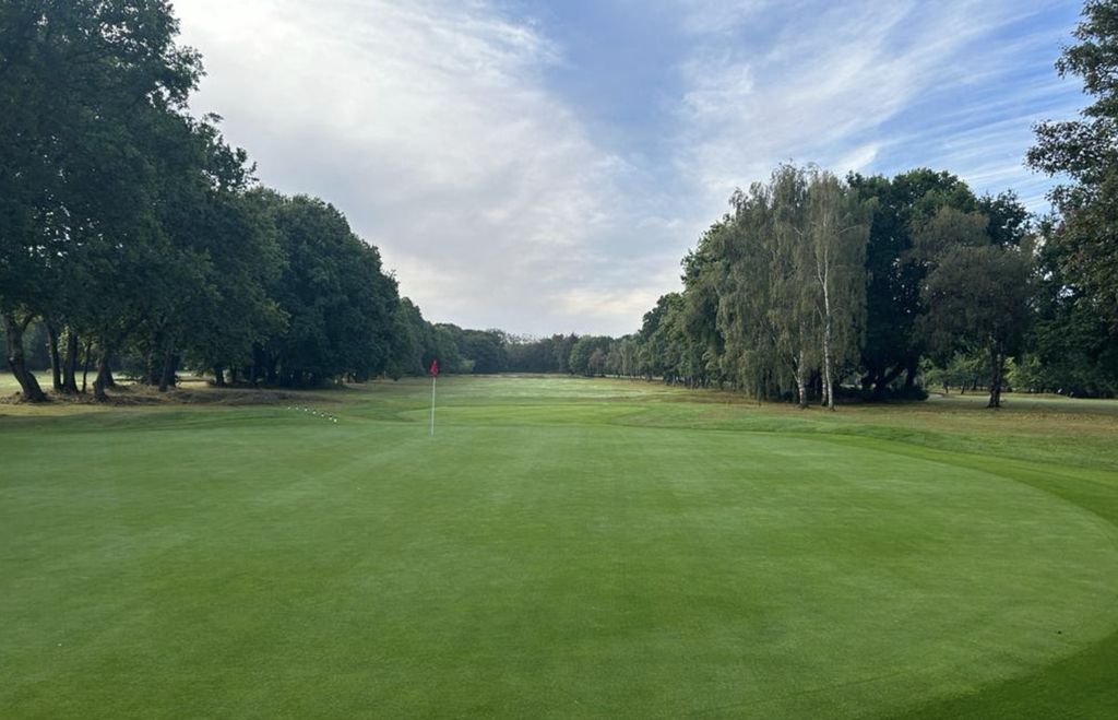 'Worm Casts Have Become A Big Pain In The Greenkeeper’s Backside ...