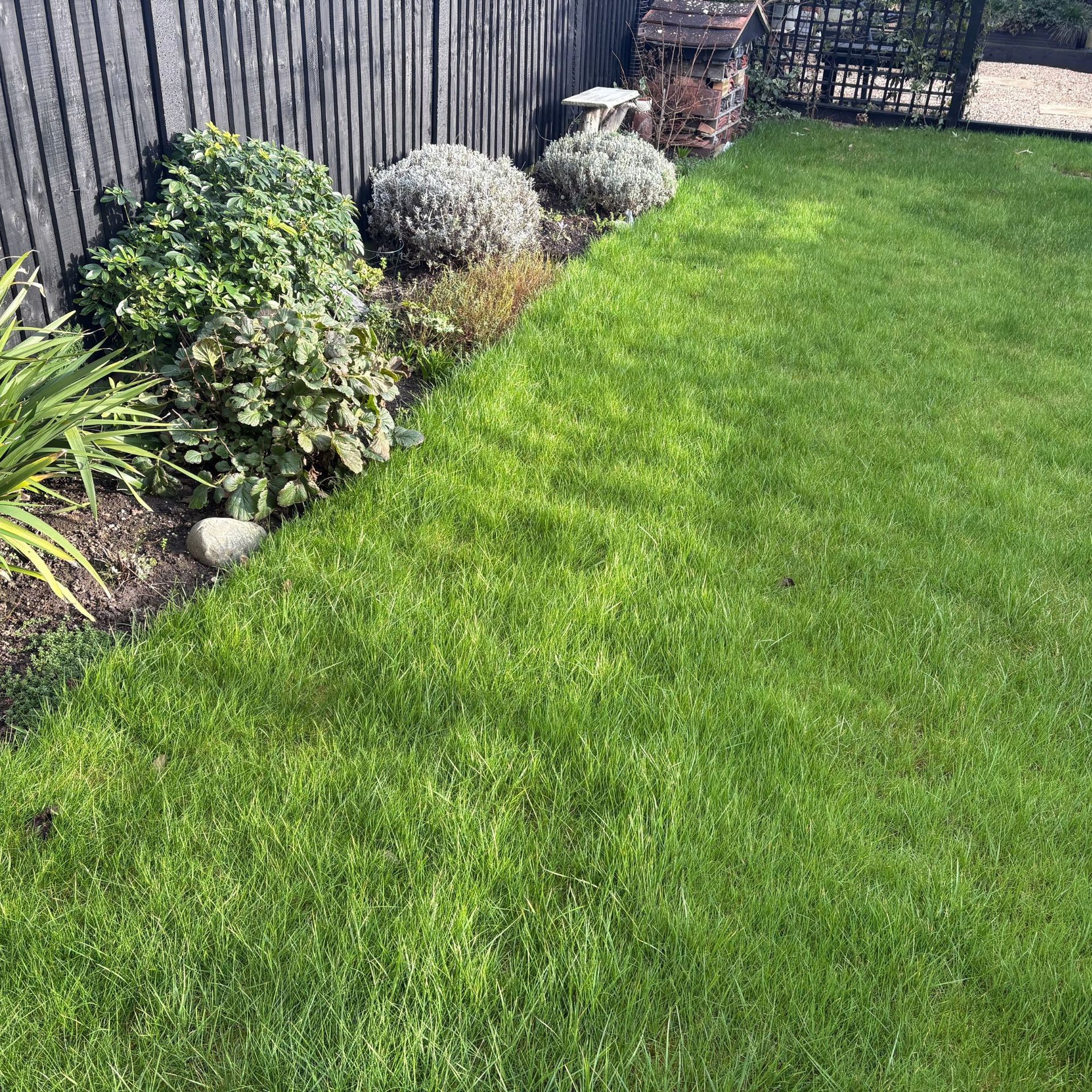 April lawn care tips – 5 key tasks for lush green grass | Ideal Home