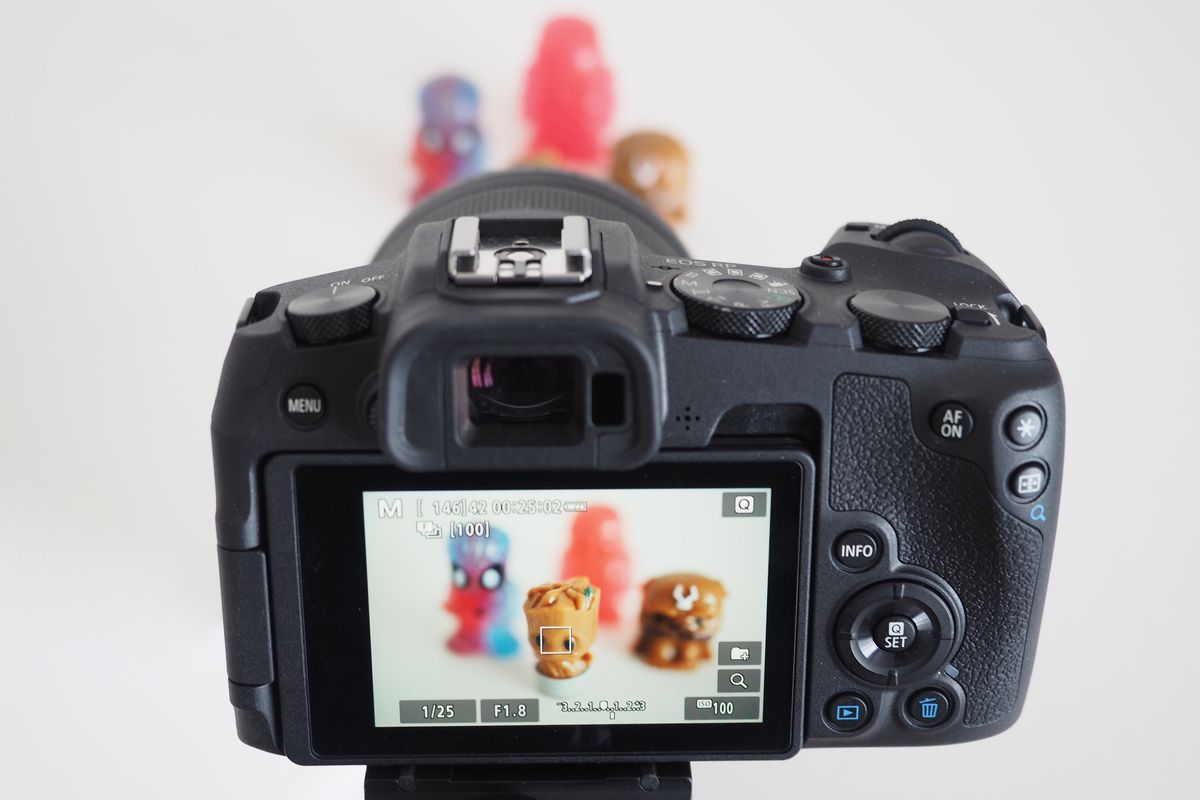 Home photography ideas: Master focus bracketing & focus stacking macro ...